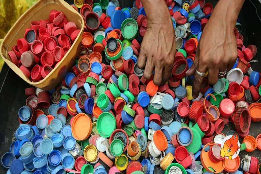 Plastic-Free Travel Challenges and Solutions in China
