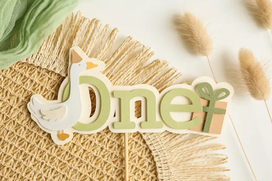 One Silly Goose Birthday Theme Guide – FunstaCraft Ideas