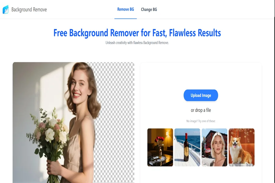 How to Use Background Remover Free on Mobile?